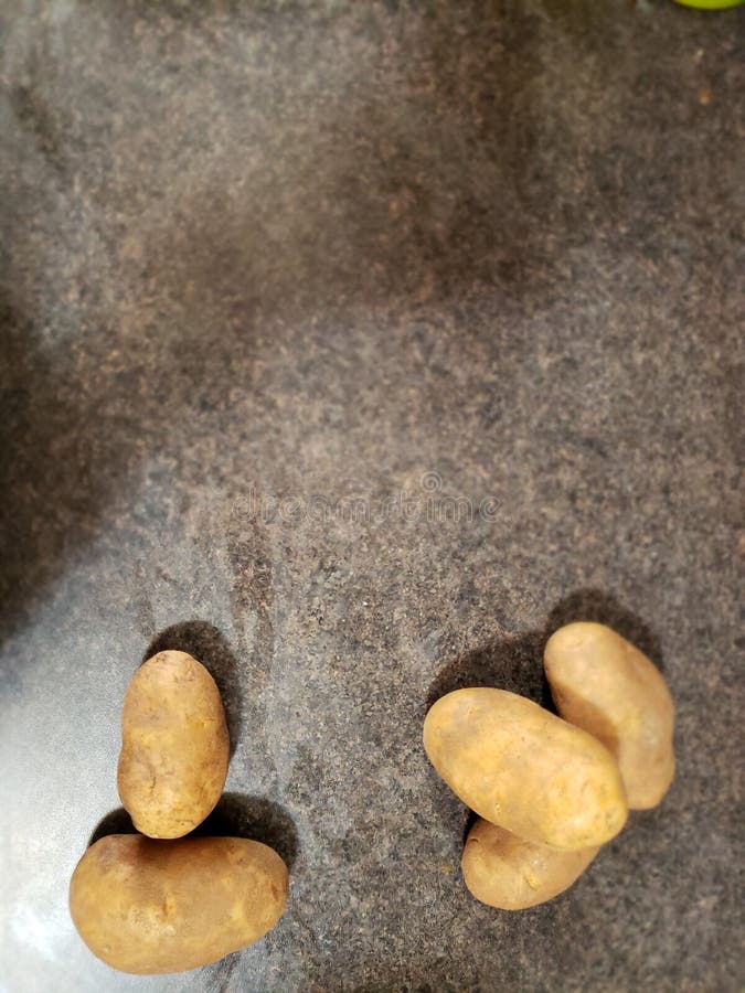 Potatoes on a countertop stock photo. Image of counter - 122157274