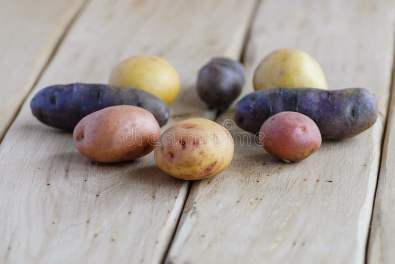 Potatoes on the desk stock image. Image of potato, potatoes - 59261511