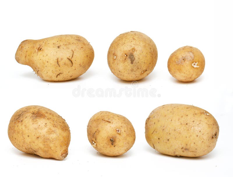 Potatoes of Different Size and Shape Stock Image - Image of farming ...