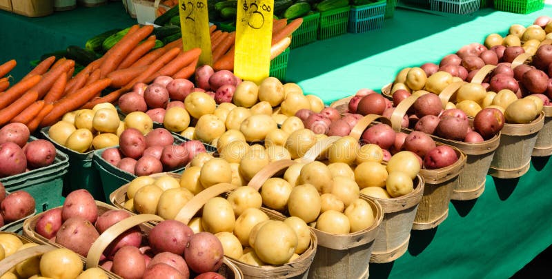 Display of Vegetables at Farmers Market Stock Image - Image of variety ...