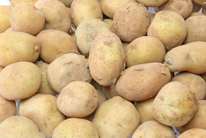 Potatoes fills in a screen stock photo. Image of vegetables - 73511148