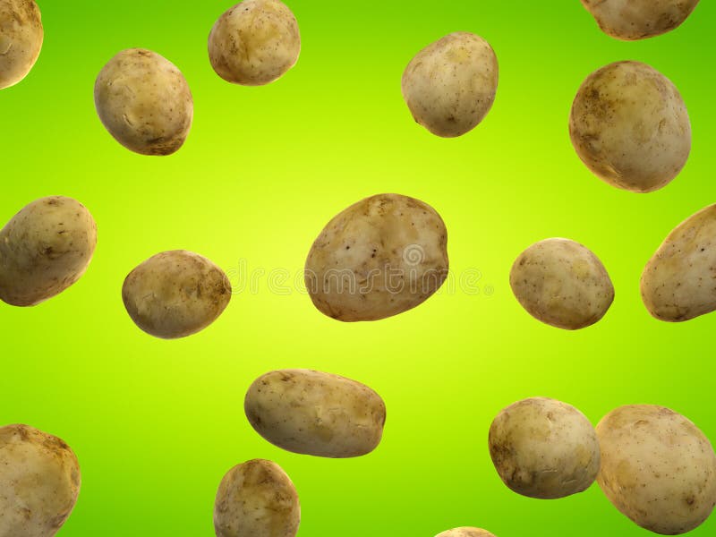 Potatoes on Green Background Stock Illustration - Illustration of ...