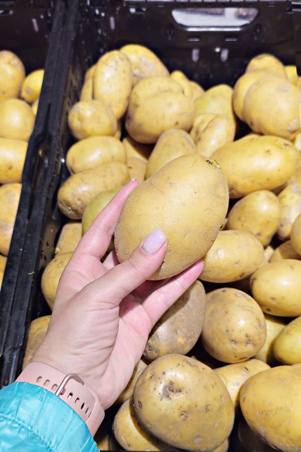 Potatoes in hand stock photo. Image of market, buying - 314490052