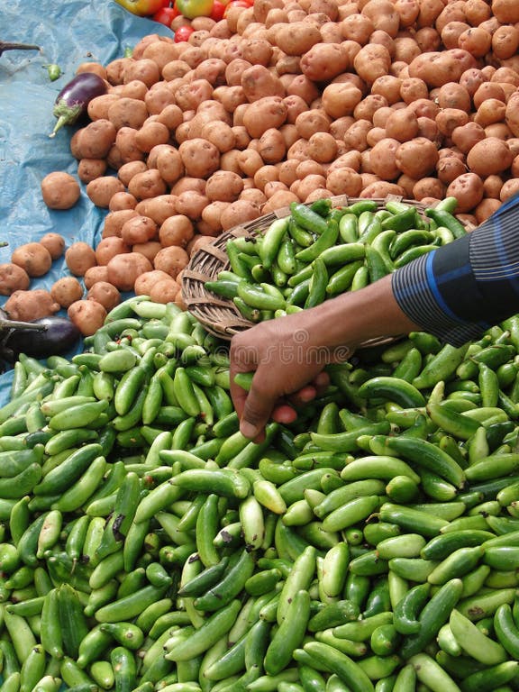 Potatoes and Hot Green Chilis Stock Photo - Image of potato, spicy ...