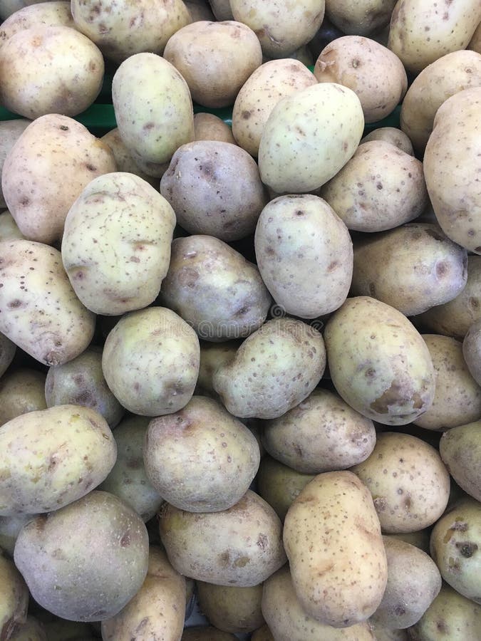 POTATOES stock image. Image of potatoes, food, healthy - 243740407