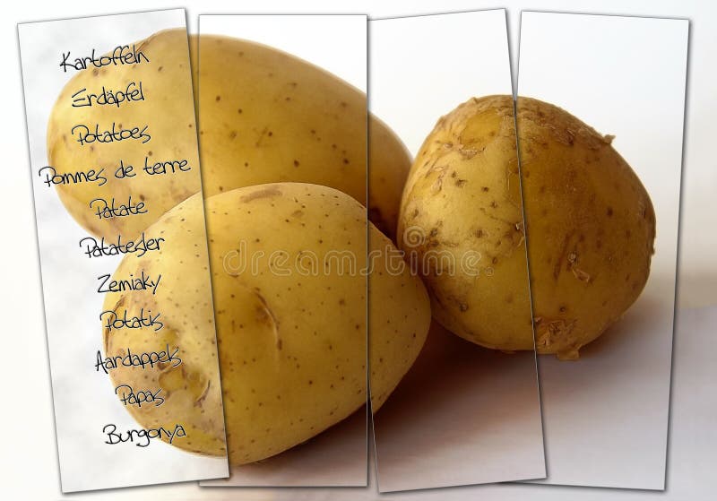 Potatoes with Multilingual Labeling Stock Photo - Image of labeling ...