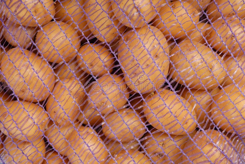 Potatoes in net packing stock photo. Image of root, plastic - 55045658