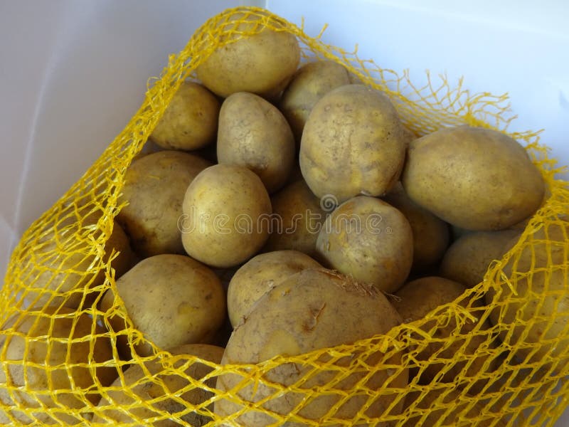 Young Potatoes in the Net Bag Stock Image - Image of young, potatoes ...