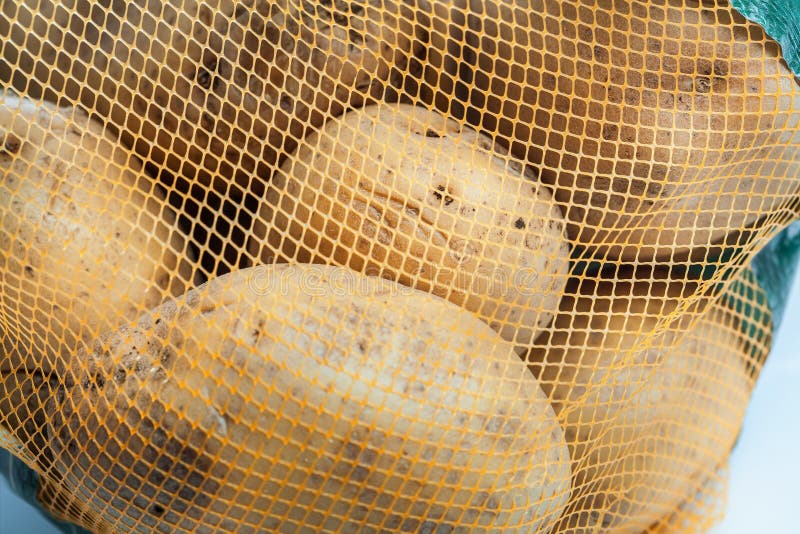 Raw potato stock photo. Image of nature, yellow, prepared - 13052886