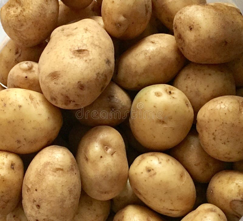 Potatoes stock photo. Image of processed, cakes, hmmm - 264158766