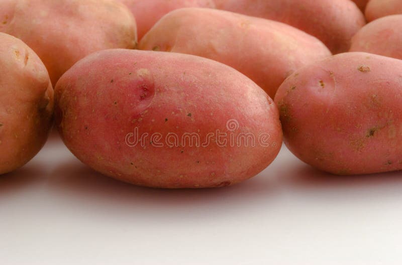 The Potatoes of the Rose Colour. Stock Photo - Image of meal, harvest ...