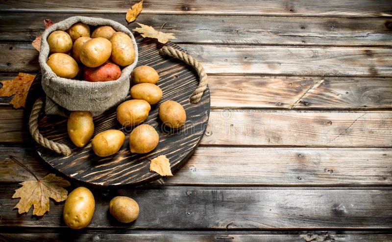 Potatoes in a Sack on the Tray with the Leaves Stock Photo - Image of ...