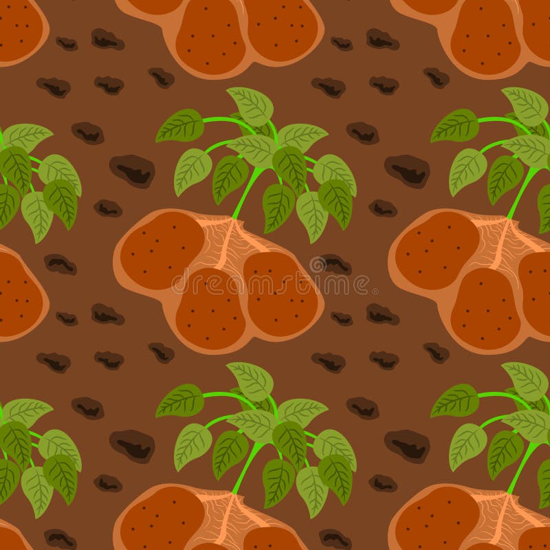 Potatoes Seamless Background Design Stock Illustration - Illustration ...