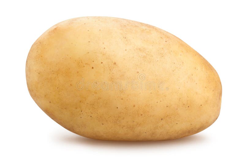 Single potato stock image. Image of vegetarian, starch - 19515917