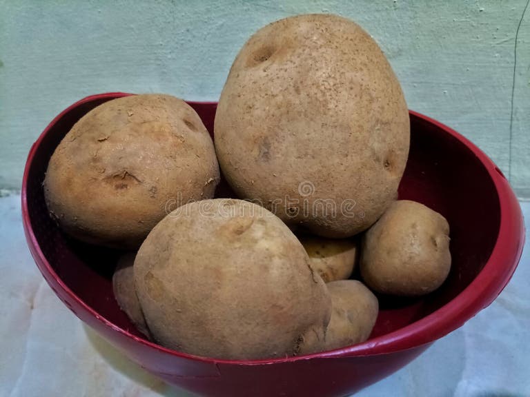 Potatoes are a Source of Life Stock Image - Image of fruit, meal: 302435901