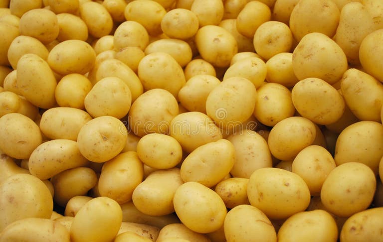 Potatoes stand stock photo. Image of vegetable, nutrition - 19692248