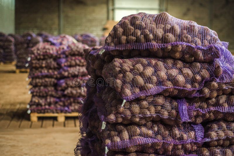 Potato Storage Basement Stock Photos - Free & Royalty-Free Stock Photos ...