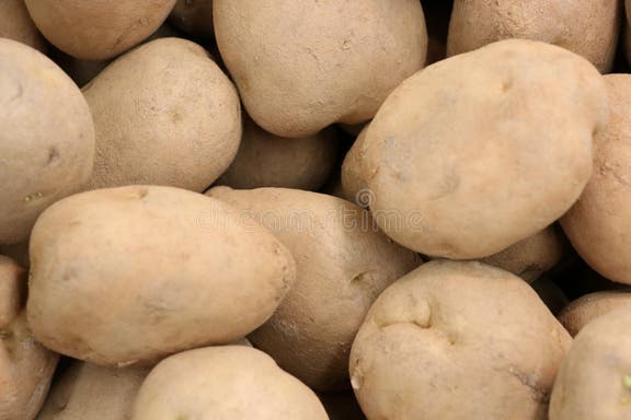 Potatoes. Texture Vegetable White Young Potato Stock Image - Image of ...