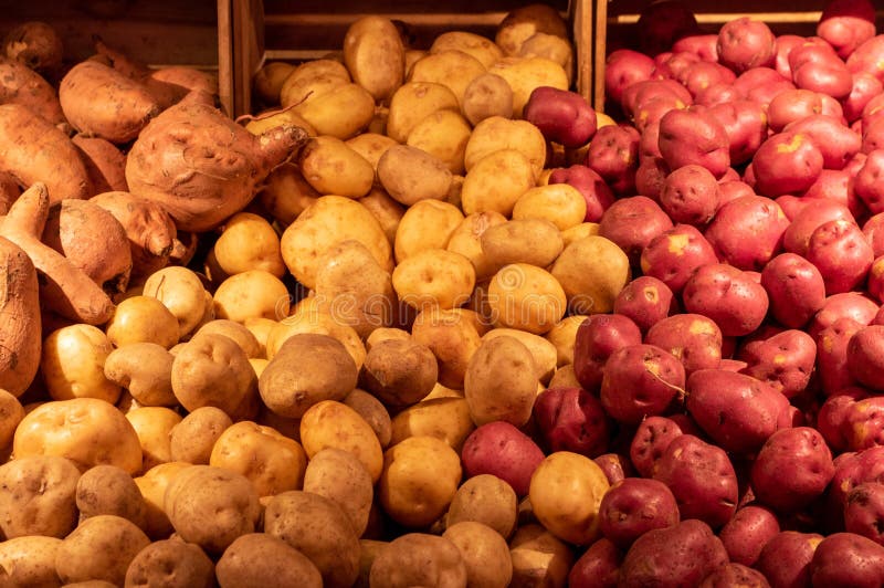 Potatoes at Vegetable Market Stock Photo - Image of vegetables, sweet ...