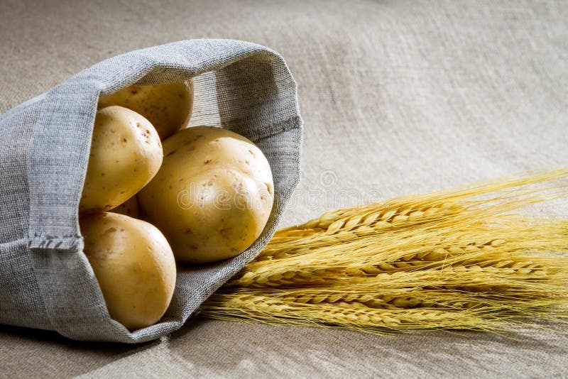 Potatoes and Wheat on Canvas Stock Image - Image of homemade, fresh ...