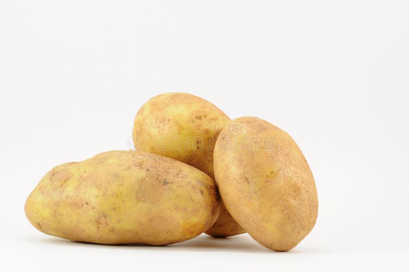 Potatoes on white stock image. Image of organic, natural - 23688947
