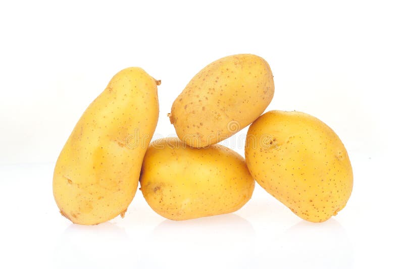 Potatoes on a White Background Stock Photo - Image of yellow, isolation ...