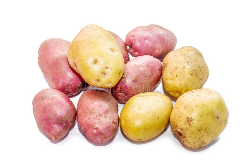 Scarlet Potatoes Stock Photos - Free & Royalty-Free Stock Photos from ...