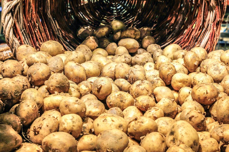 Potatos stock image. Image of ecology, natural, fair, groceries - 3517683