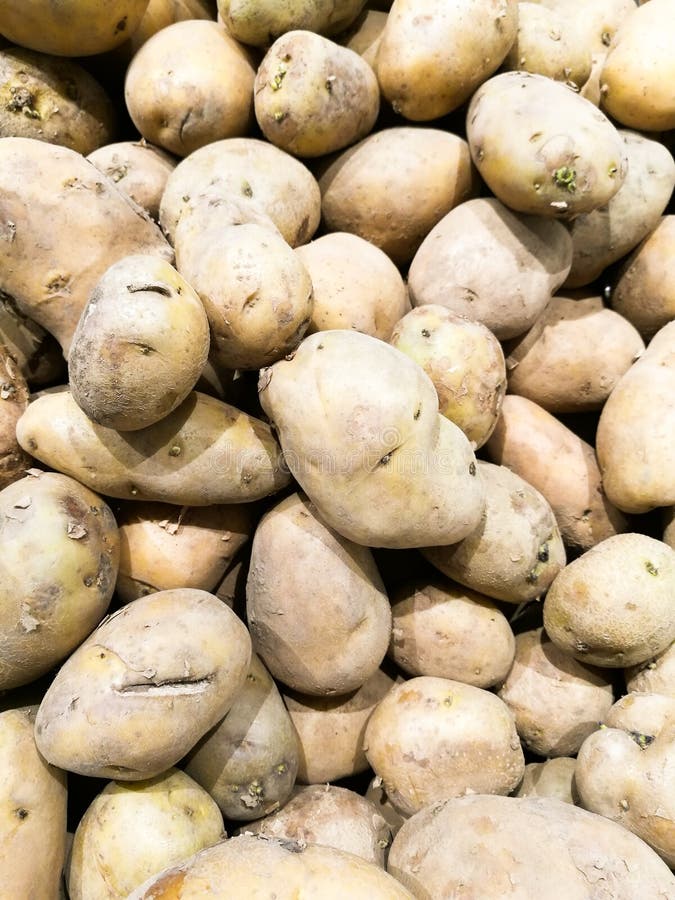 Potatos stock photo. Image of vagetable, food, potato - 78797122
