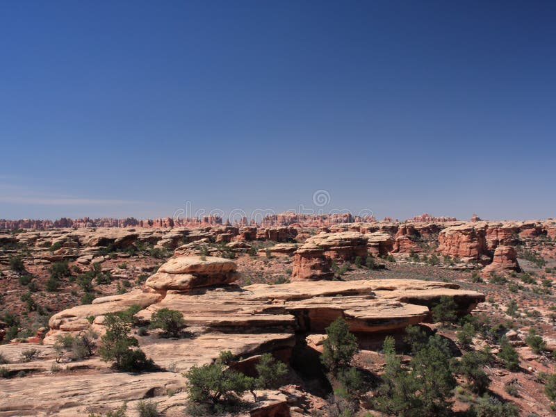 Pothole point stock photo. Image of wilderness, canyonlands - 14319020