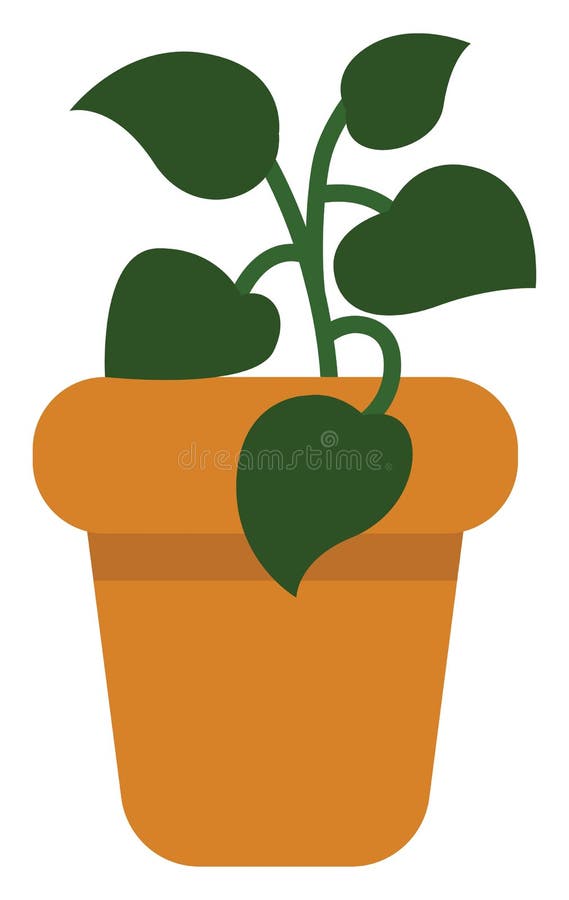 Pothos Stock Illustrations – 495 Pothos Stock Illustrations, Vectors ...