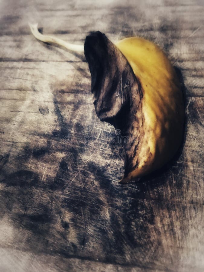 Pothos on the wood stock photo. Image of head, portrait - 243647214