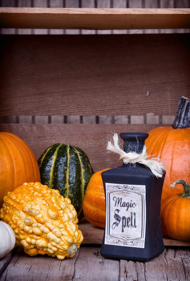 Potion Bottles with Pumpkins Stock Photo - Image of black, secret: 33731842
