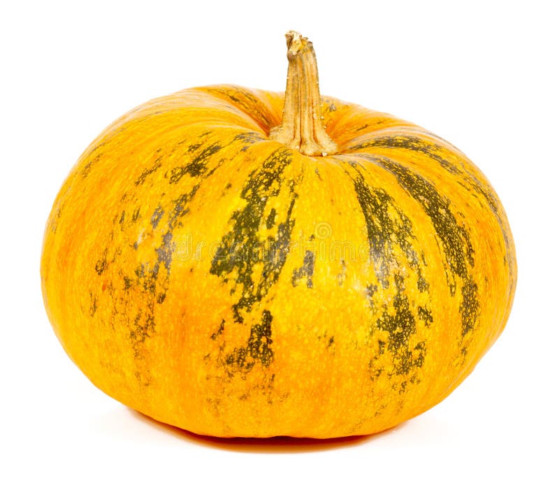 Grand Potiron Sur Un Fond Blanc Image stock - Image du vivacité ...