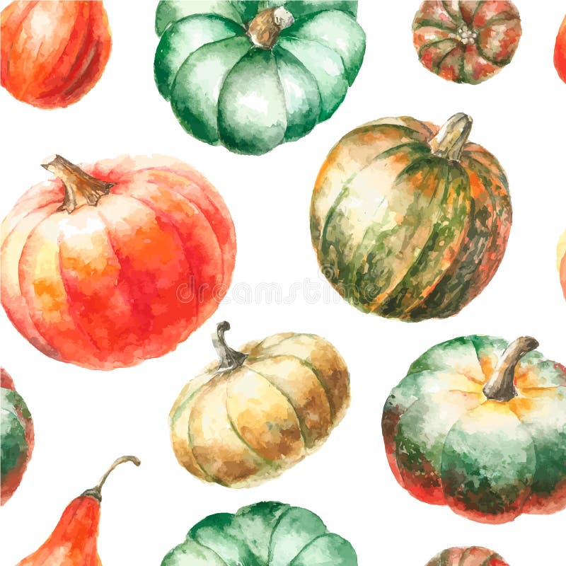 Potiron d'aquarelle illustration de vecteur. Illustration du normal ...