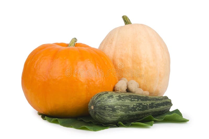 Potiron photo stock. Image du vivacité, nourriture, saisonnier - 16129470