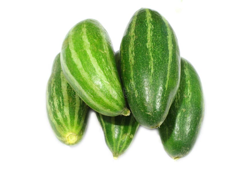 Potol or Trichosanthes Dioica Stock Photo - Image of healthy, potol ...