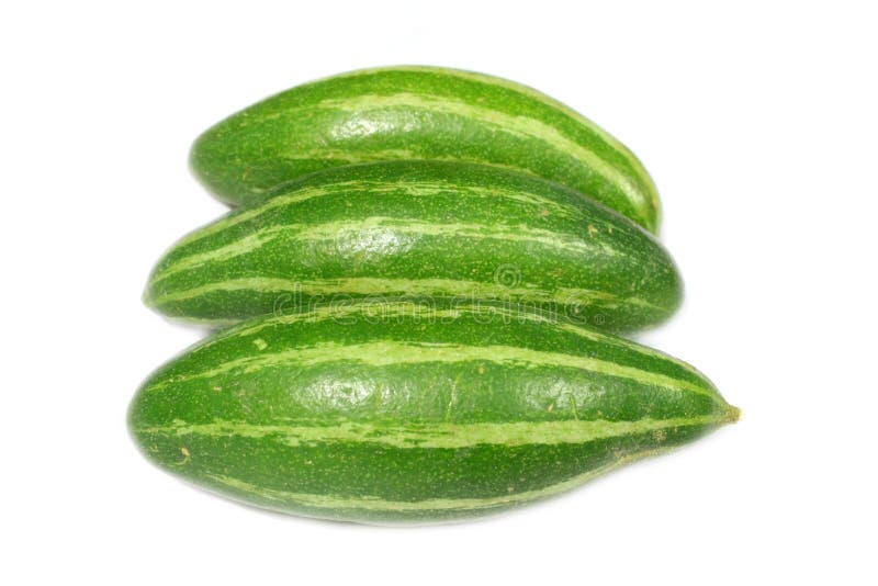 Potol Or Trichosanthes Dioica Royalty Free Stock Photo - Image: 31602725