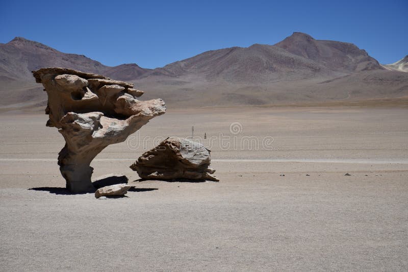 The Rock Tree in the Siloli Desert with Mountains Behind. Potosi ...
