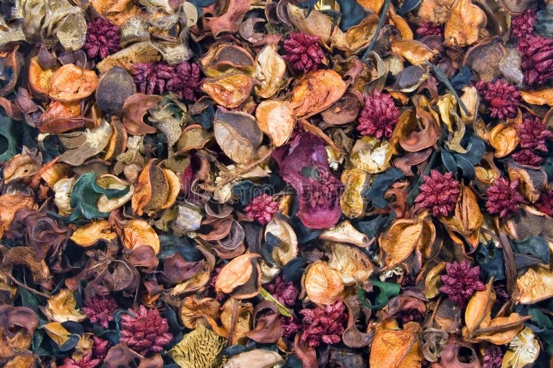 Potpourri stock photo. Image of dried, flowers, fragrance - 17693562