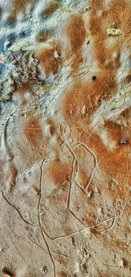 Potrait Background Natural of Chocolate Soil Stock Photo - Image of ...