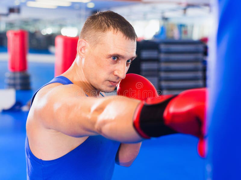 Potrait of Man Boxer Who is Training in Gym. Stock Photo - Image of ...