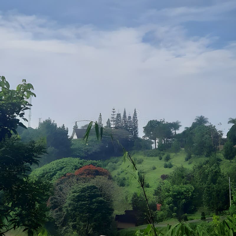 Potrait Green Nature with Blue Sky and Tree Stock Photo - Image of ...
