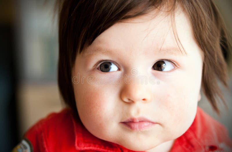 Potrait Rechoncho Del Muchacho Foto de archivo - Imagen de bebé, lindo ...