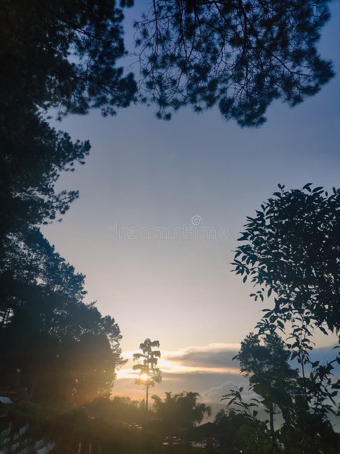 Potrait Sunset Panorama Sky Tree Stock Image - Image of sunset, potrait ...