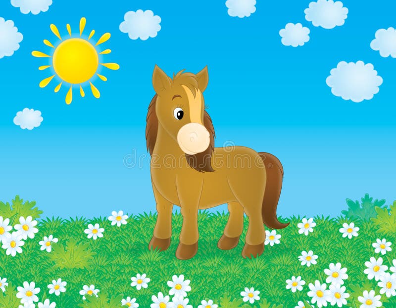 Potro Ilustraciones Stock, Vectores, Y Clipart – (50,197 Ilustraciones ...