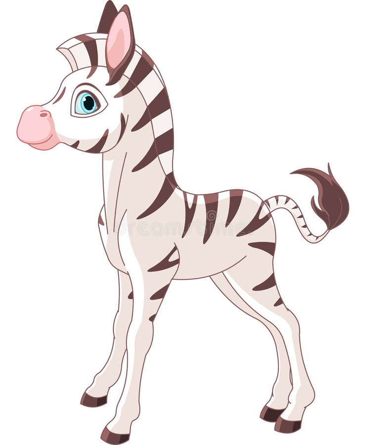 Potro da zebra ilustração do vetor. Ilustração de vetor - 30971236