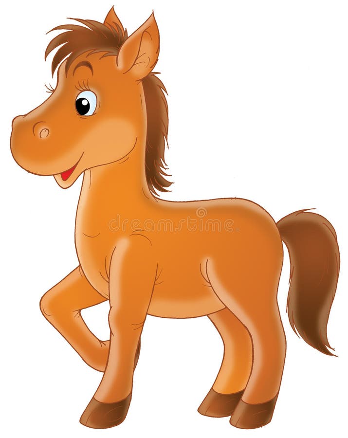 Potro ilustración del vector. Ilustración de chistoso - 4953643