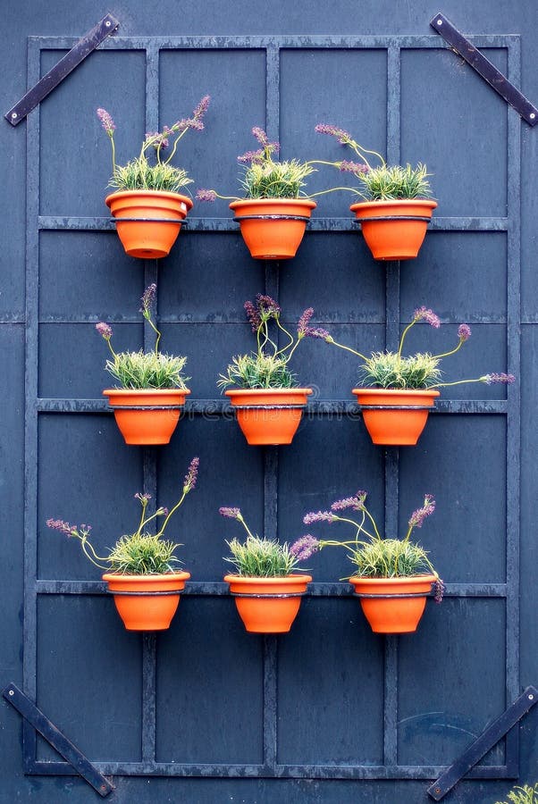 Pots stock photo. Image of symmetry, grass, prague, abstract - 1777812