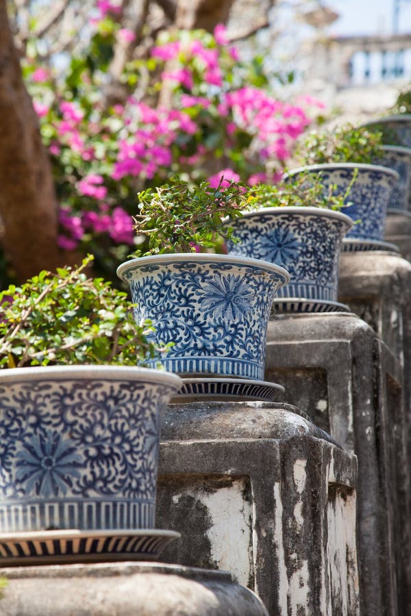 Pots stock image. Image of plant, natural, leaf, branch - 56740591